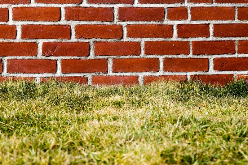 Red brick with grass stock photo. Image of square, architecture - 66001078