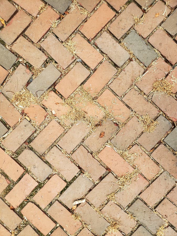 19,267 Brick Path Way Photos - Free & Royalty-Free Stock Photos from ...