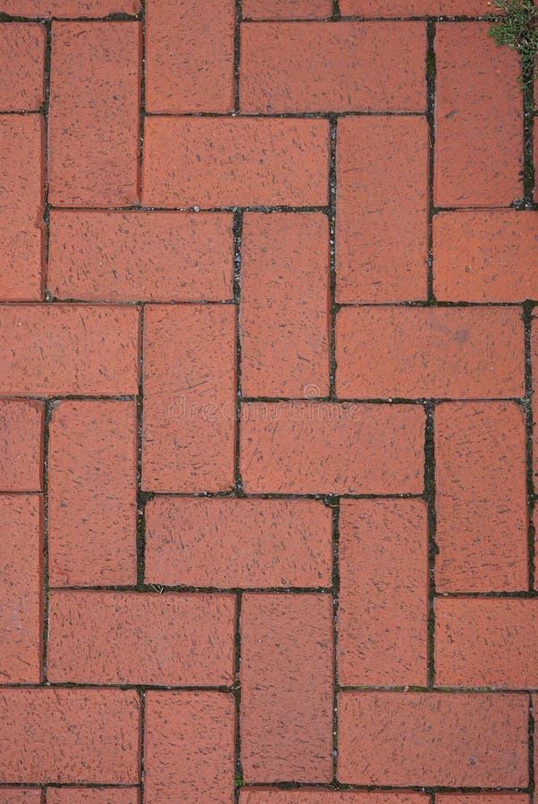 Old Red Brick Paving Stones with Grass Growing Along Stock Image ...