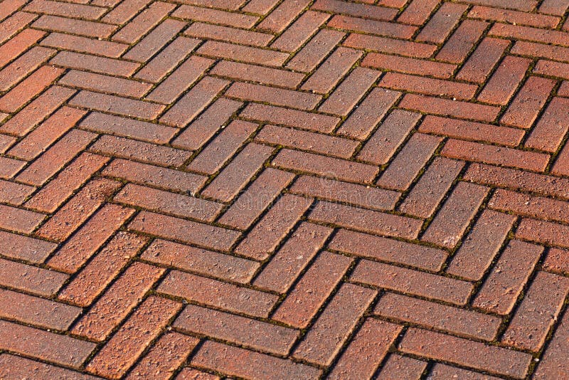 Brick Pavement Texture