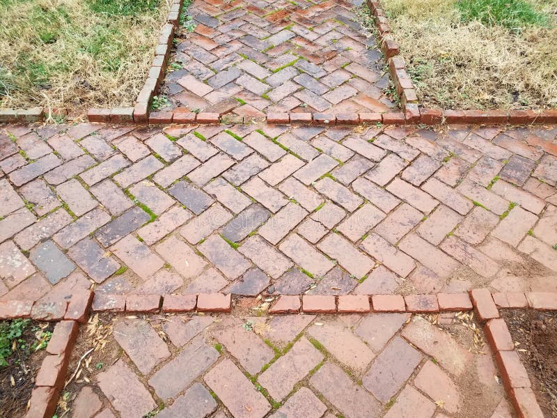 Red Brick Sidewalk or Path and Moss Stock Photo - Image of flora, brick ...