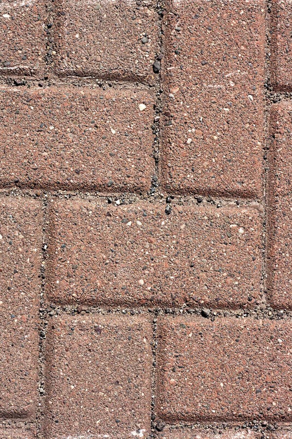 The Brick Walking Way in Eucalyptus Park Stock Photo - Image of nature ...