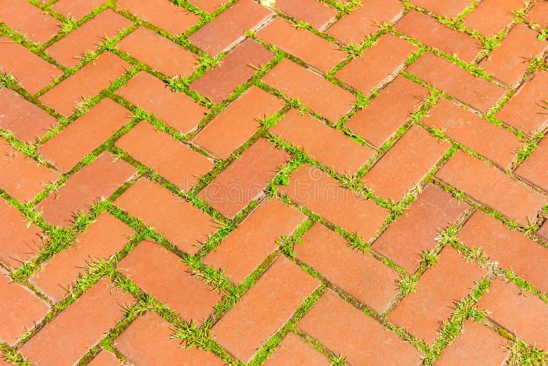 Red brick walkway stock image. Image of green, flora - 56254049