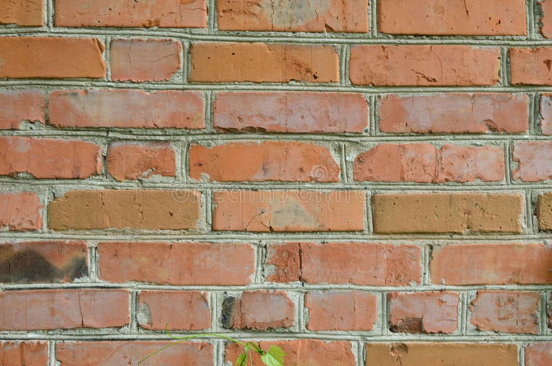 Red Brick Wall Walls Uniform Brickwork Stock Photos - Free & Royalty ...