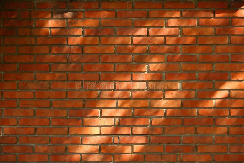 A Red Brick Wall with Falling Sun Rays through the Leaves. Stock Image ...