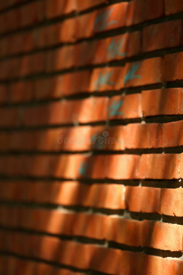 A Red Brick Wall with Falling Sun Rays through the Leaves. Stock Photo ...