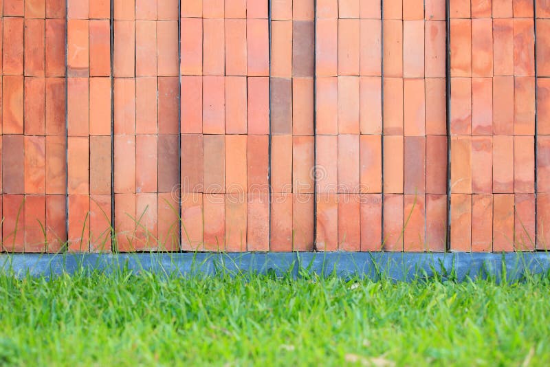 Red Brick Wall with Grass Floor Stock Photo - Image of empty, detail ...
