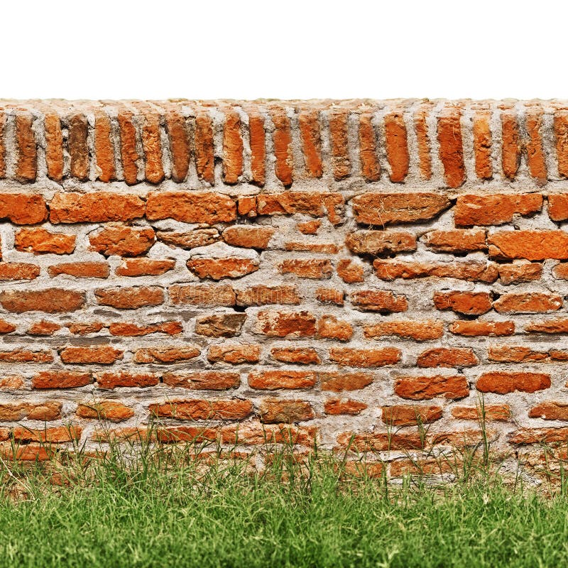 Red Brick Wall with Green Grass Isolated on White Stock Image - Image ...