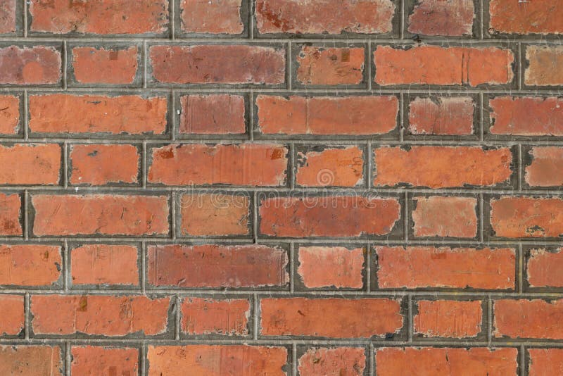 Yam Texture Surface with World Map Stock Image - Image of abstract ...