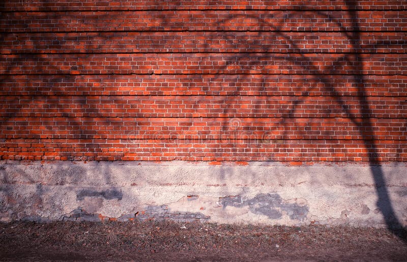 Red Brick Wall with Tree Shadow on it Background Stock Photo - Image of ...