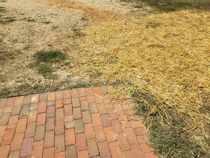 832 Straw Bricks Stock Photos - Free & Royalty-Free Stock Photos from ...