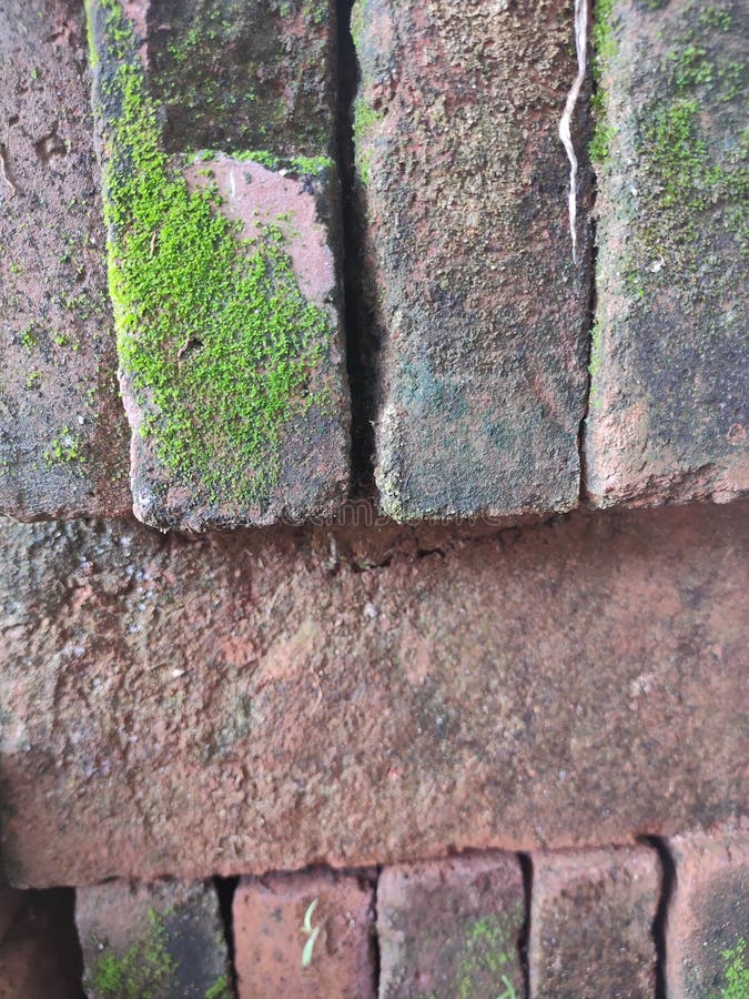 Red Bricks with Moss in Its Surface Stock Photo - Image of iron, soil ...
