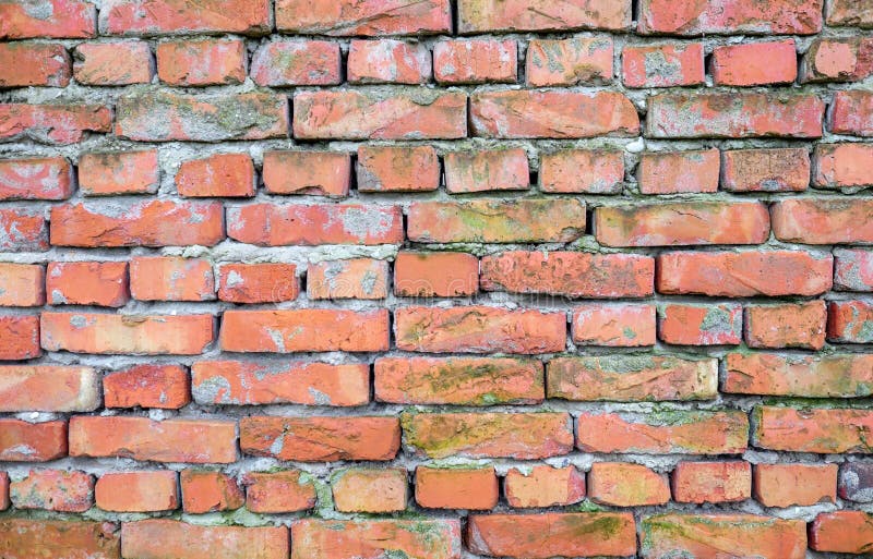 Red Bricks Texture stock photo. Image of frame, surface - 50393098