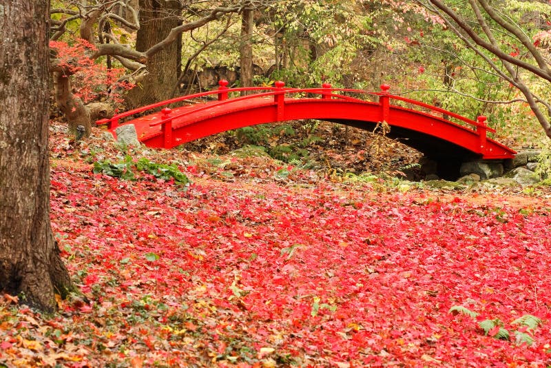 Red Bridge stock image. Image of bridge, japanese, serene - 22759555