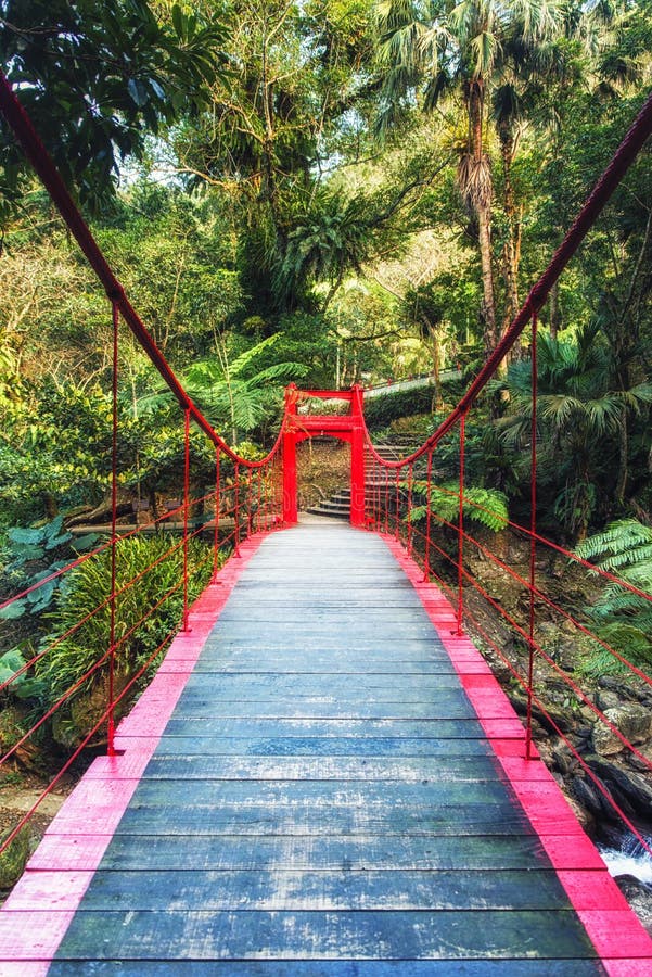 Red Bridge Crossing a Rain Forest Stock Photo - Image of plant, bridge ...