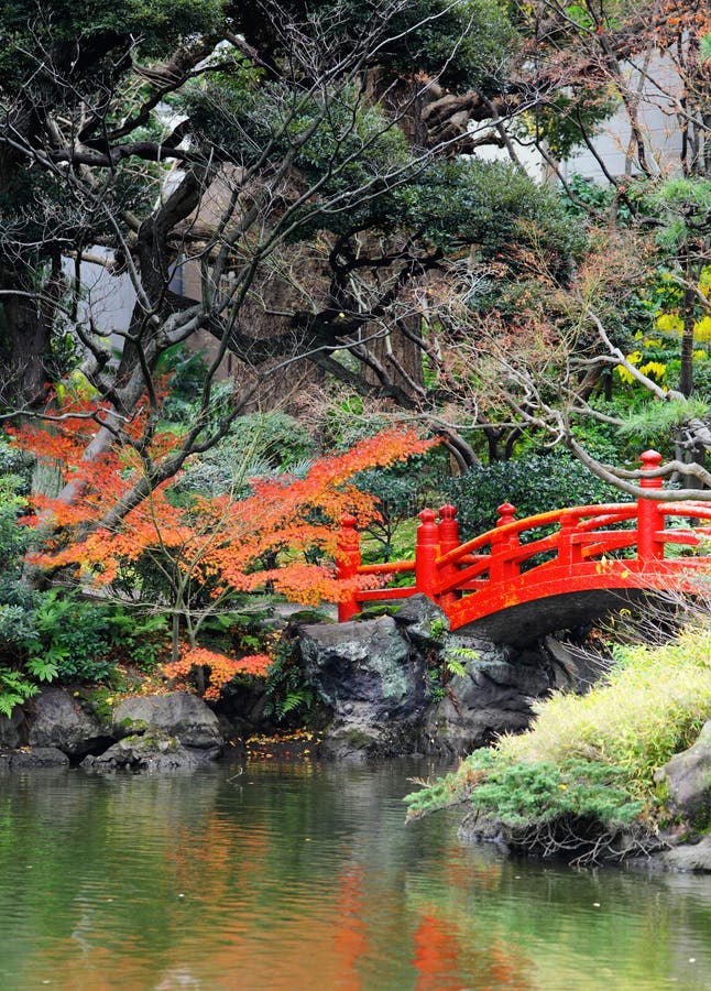 Red Bridge in Japanese Garden Stock Image - Image of hedge, foliage ...