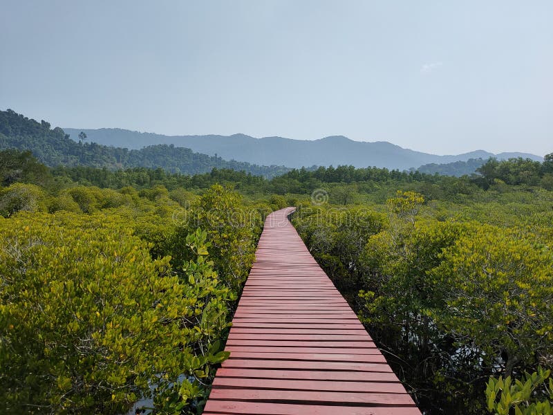 Red bridge stock image. Image of forest, bridge, mountain - 176438727