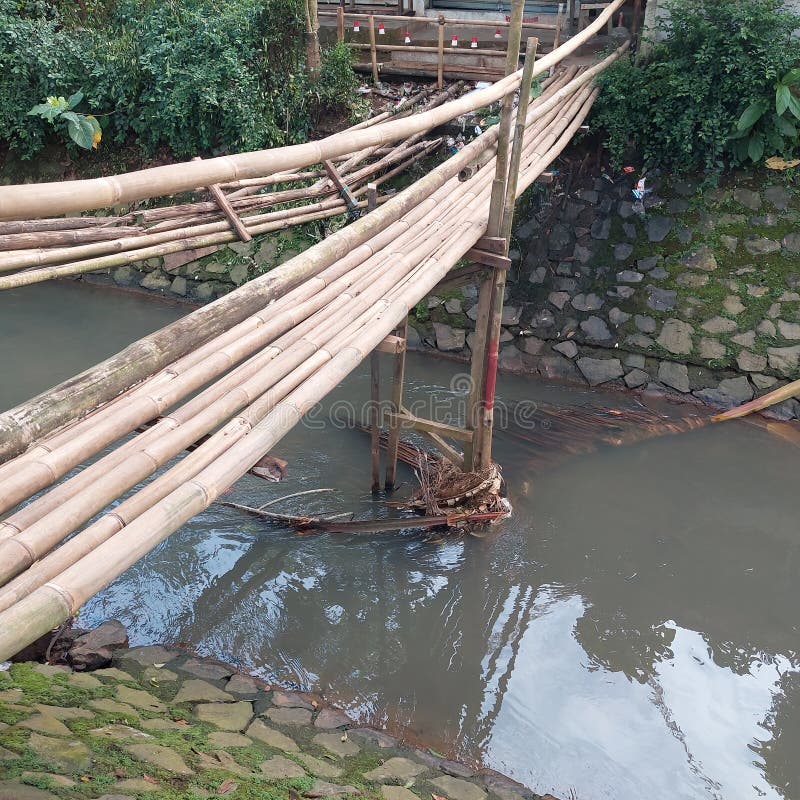Bamboo Bridge Over the River with Clear Water Stock Photo - Image of ...