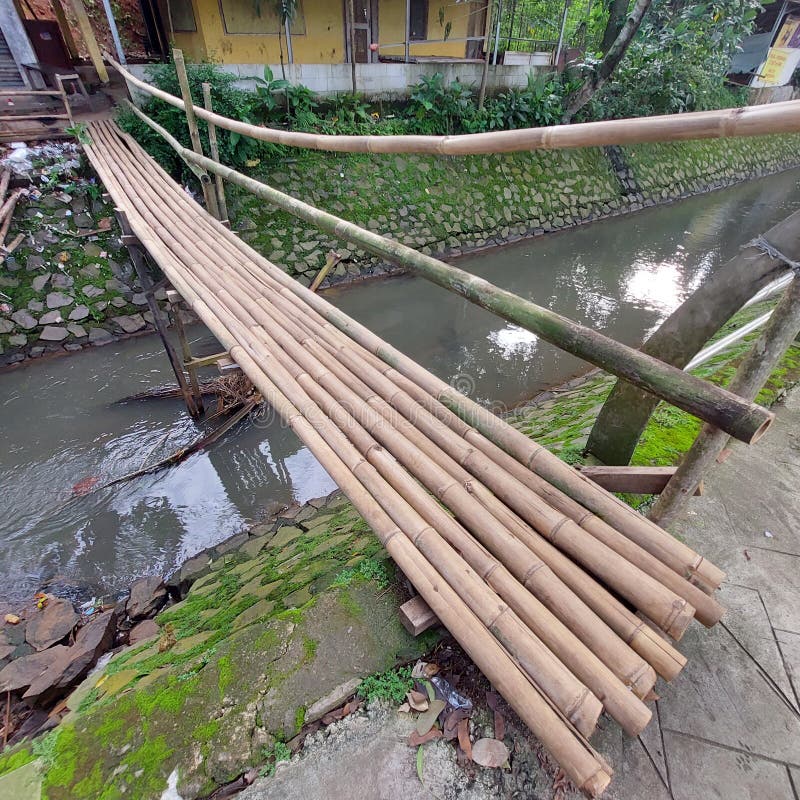 Bamboo Bridge Over the River with Clear Water Stock Photo - Image of ...