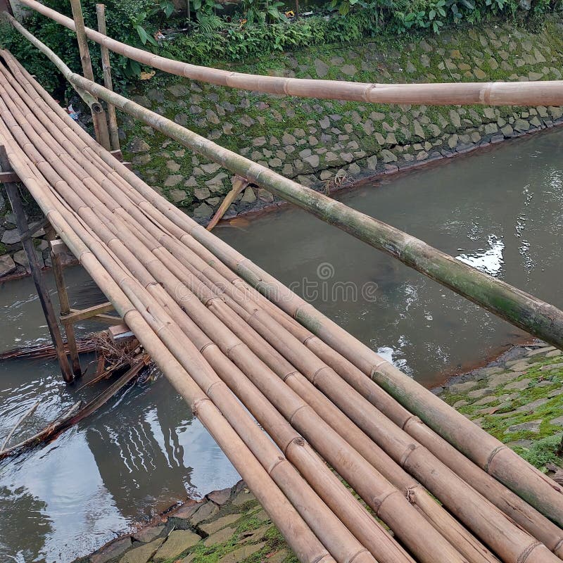Bamboo Bridge Over the River with Clear Water Stock Image - Image of ...