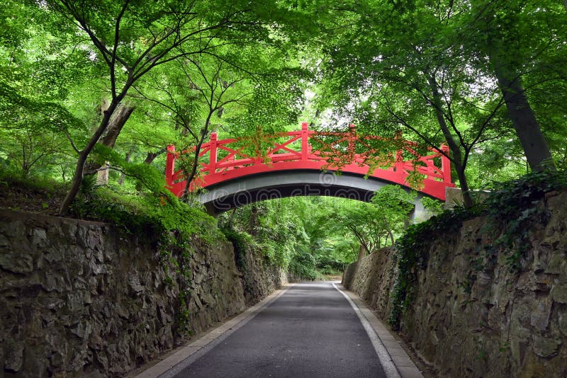 A Red Bridge Over the Road in the Green Forest Stock Image - Image of ...