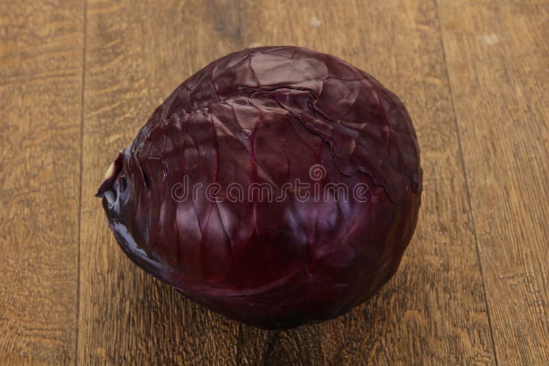 Red bright cabbage stock photo. Image of single, agriculture - 155763672