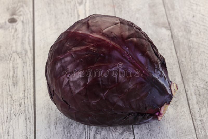 Red bright cabbage stock image. Image of fresh, purple - 182013465