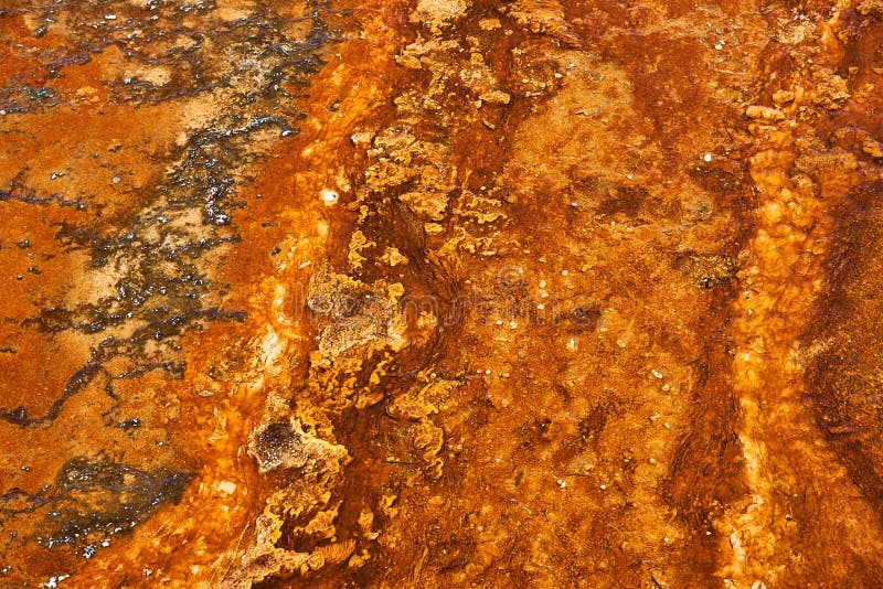 Red Brown Colored Earth in Yellowstone Park Stock Photo - Image of ...