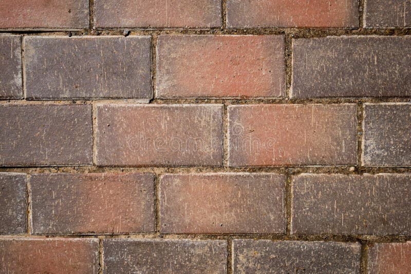 Brown Pavement Walkway with Beautiful Landscape, Pettie White Petals of ...