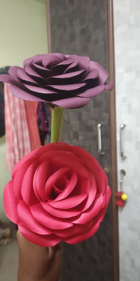 Red & Brown Paper Rose Both are Sweet Looks Stock Image - Image of rose ...