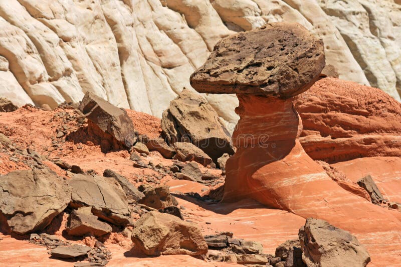 Red Brown Toadstool and Brown Rocks Stock Photo - Image of brown ...