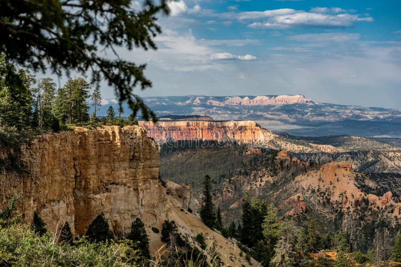 Red Bryce Canyon with Green Trees in the Dixie National Forest of Utah ...