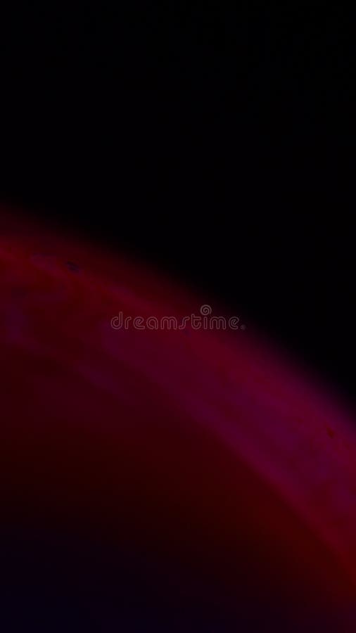 Red Bubbles in Macro, Connection of Bubbles in Macro, Purple Gradient ...