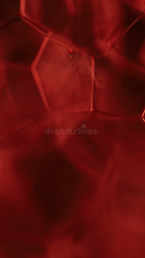 Red Bubbles in Macro, Connection of Bubbles in Macro, Vertical Video ...