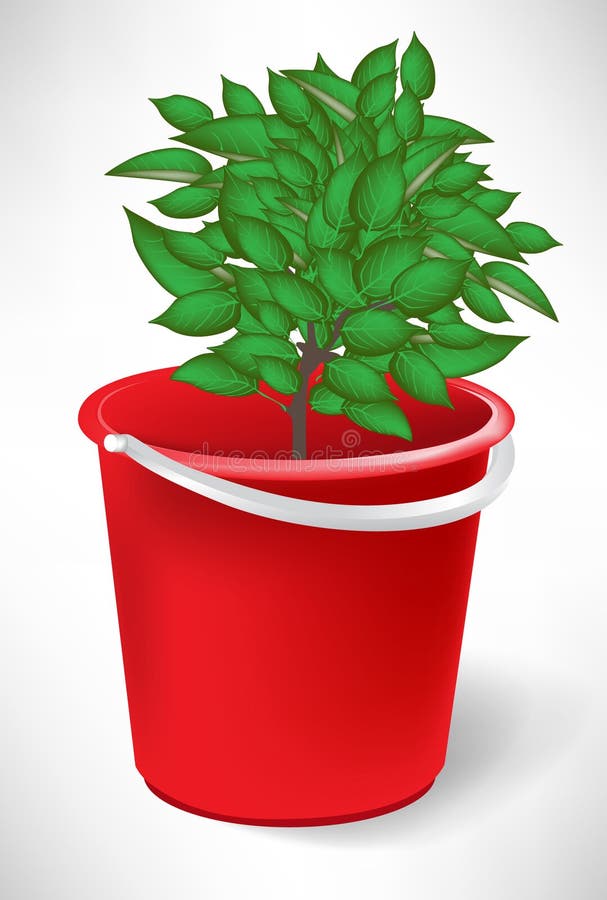Red bucket with small tree stock vector. Illustration of cleaner - 22342102