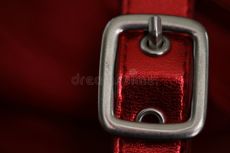 Red buckle stock photo. Image of silver, buckles, buckle - 6088078