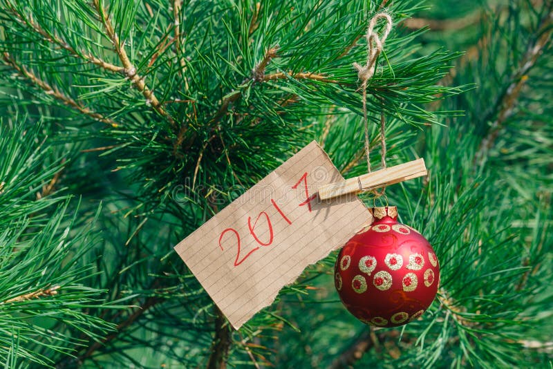 Red Bulb Hanging on the Tree Stock Photo - Image of branch, hanging ...