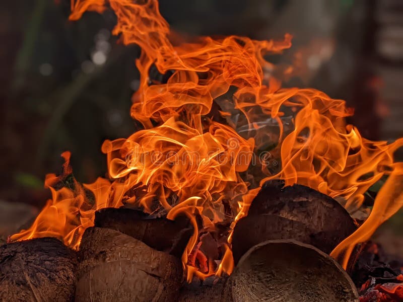 Red Burning Fire of Coconut Shells Stock Image - Image of flower, light ...