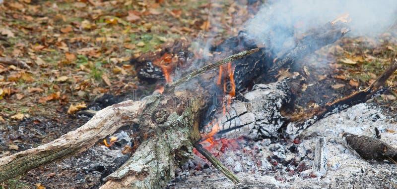 Red Burning Fire Smolders Smolders Burnt Tree Closeup Stock Photo ...