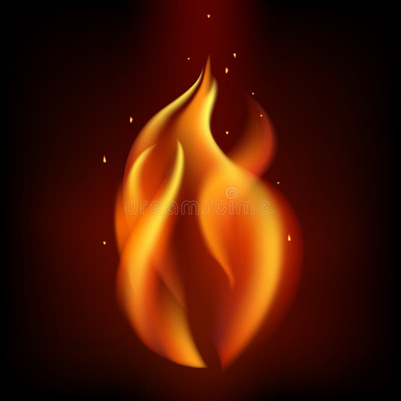 Red Burning Fire Flame Isolated on Black Background Stock Vector ...