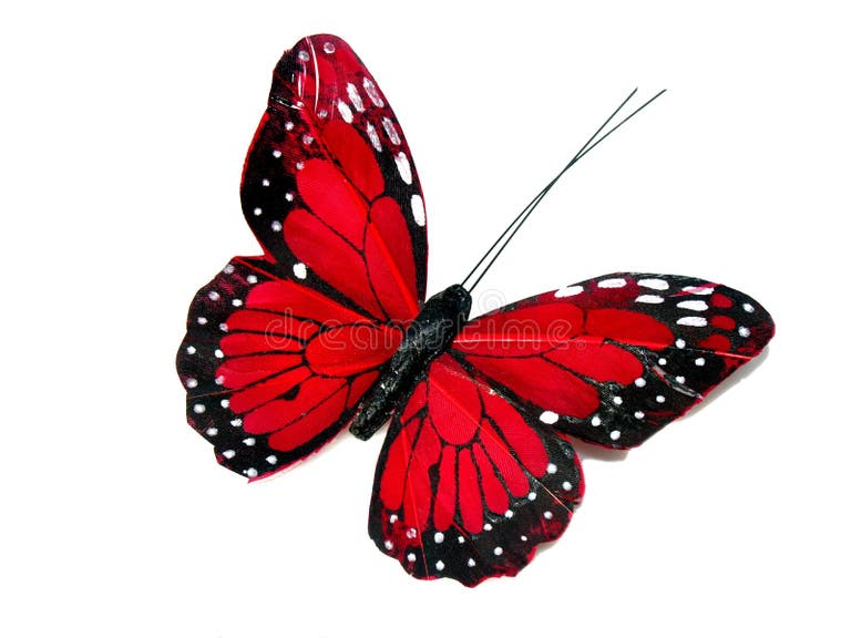 Red butterfly stock image. Image of outdoors, elegance - 5786303