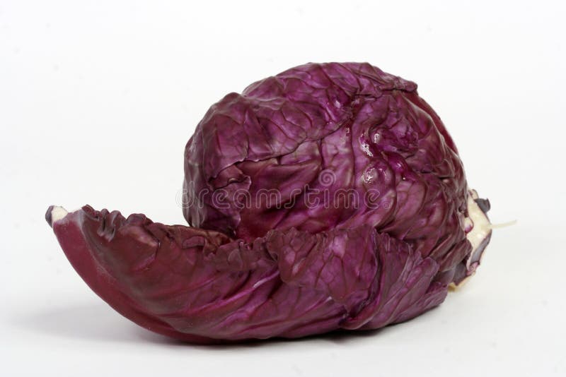 Red cabbage stock image. Image of fancy, quarter, produce - 25185121