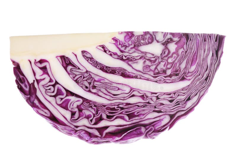 Red cabbage stock image. Image of agriculture, pattern - 13618869