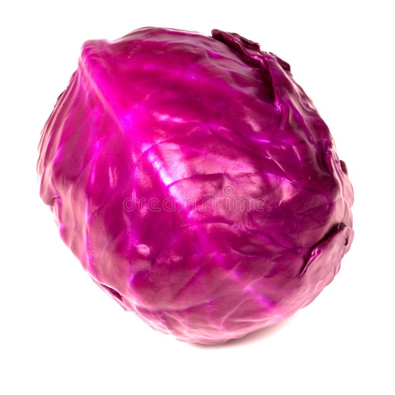 Red Cabbage stock photo. Image of nutrition, edible, vegetable - 15001224