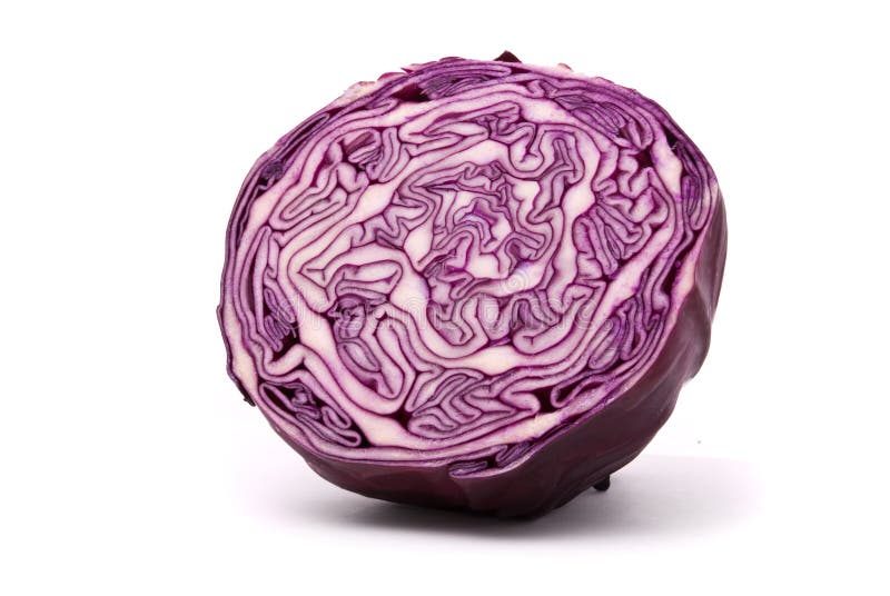 Red cabbage stock image. Image of fancy, quarter, produce - 25185121