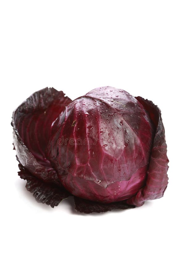 Red cabbage stock image. Image of produce, eating, green - 25287029
