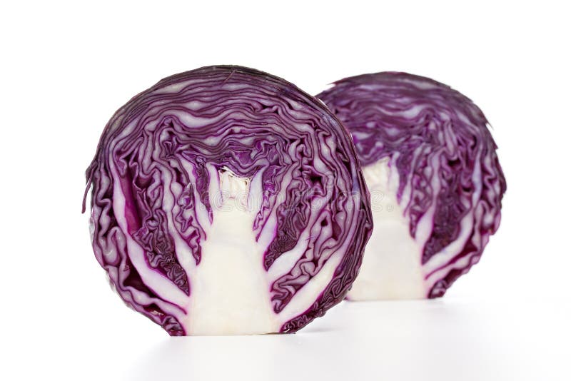 Red cabbage stock image. Image of cabbages, beautiful - 21030213