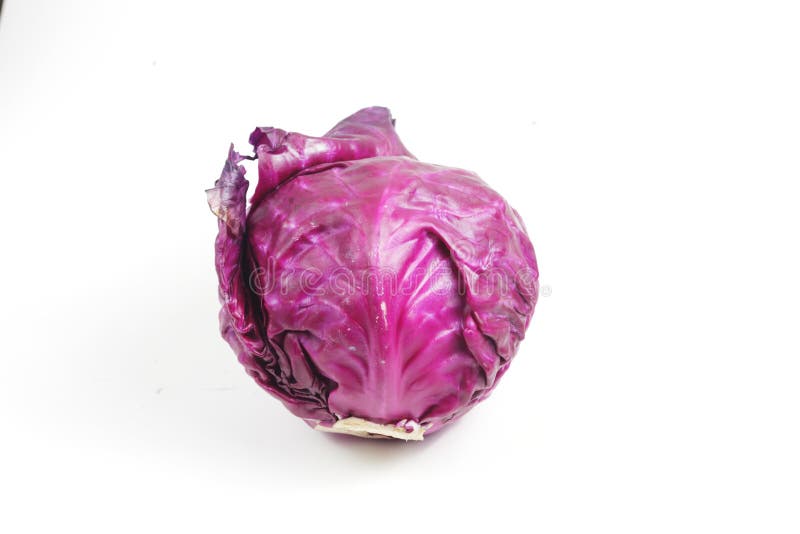 Red Cabbage stock image. Image of white, vegetable, cabbage - 23555061