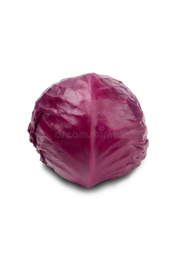 Red cabbage stock photo. Image of garden, circle, swirled - 25287670