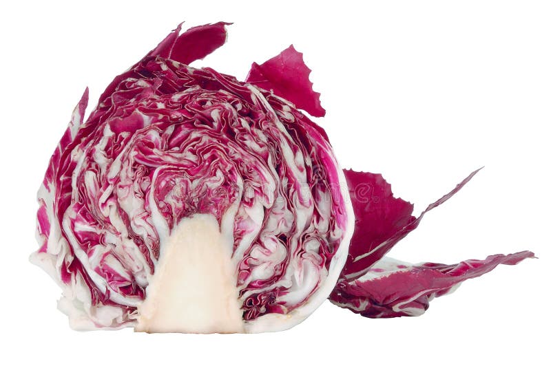 Red cabbage stock image. Image of fancy, quarter, produce - 25185121